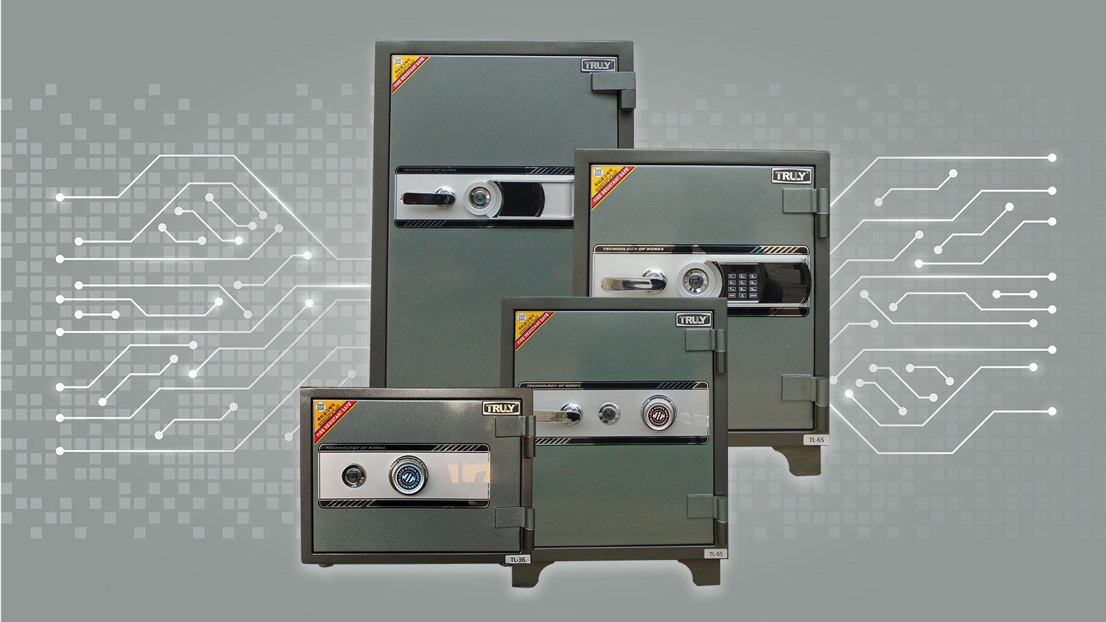 Dedicated Safes - en.ketsattruly.com